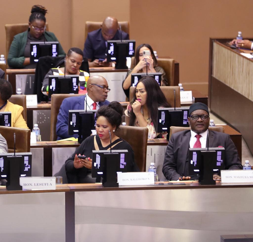 First Sitting of the Sixth Legislature, 22 May 2019 | Gauteng ...